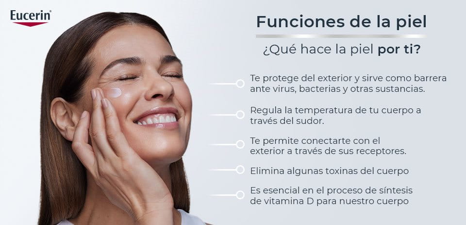 Conoce las funciones y estructura de tu piel | Eucerin®